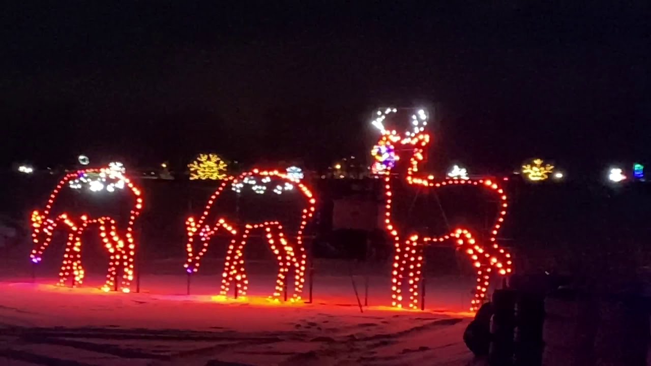 Best Christmas Lights ever - Christmas Lights- Amazing light show ever# ...
