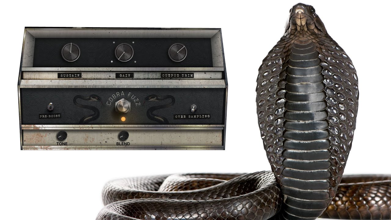 COBRA FUZZ | Safari Pedals | Demo and Review - YouTube