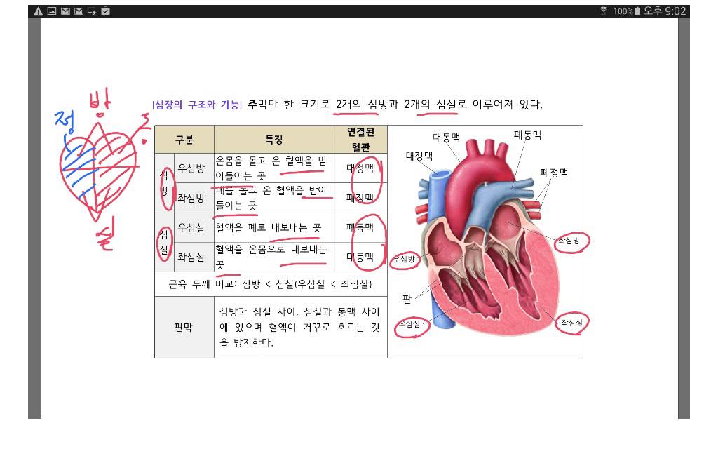 심장의 구조와 기능1 Youtube
