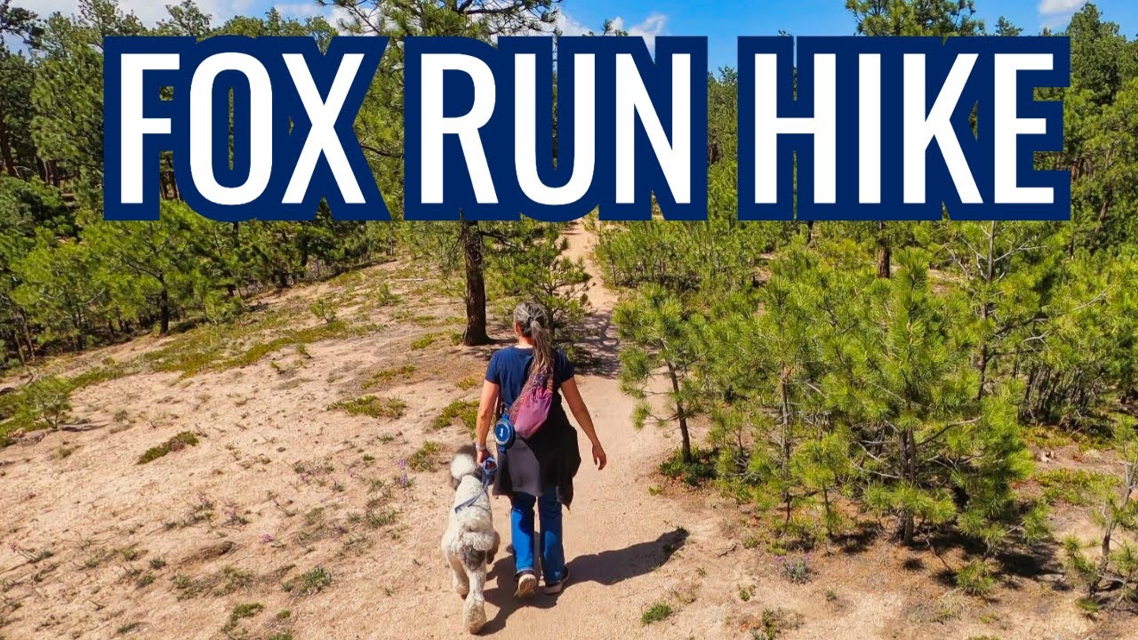 Discover the Unexpected: A Day Hike Adventure in Fox Run Regional Park ...