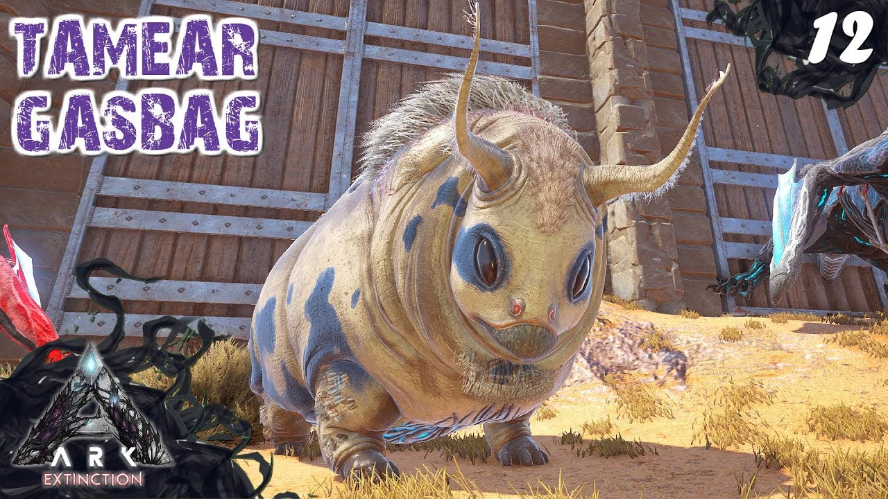 Tamear Gasbag Solo | ARK EXTINCTION [#12] | Servidor Oficial PVE - YouTube