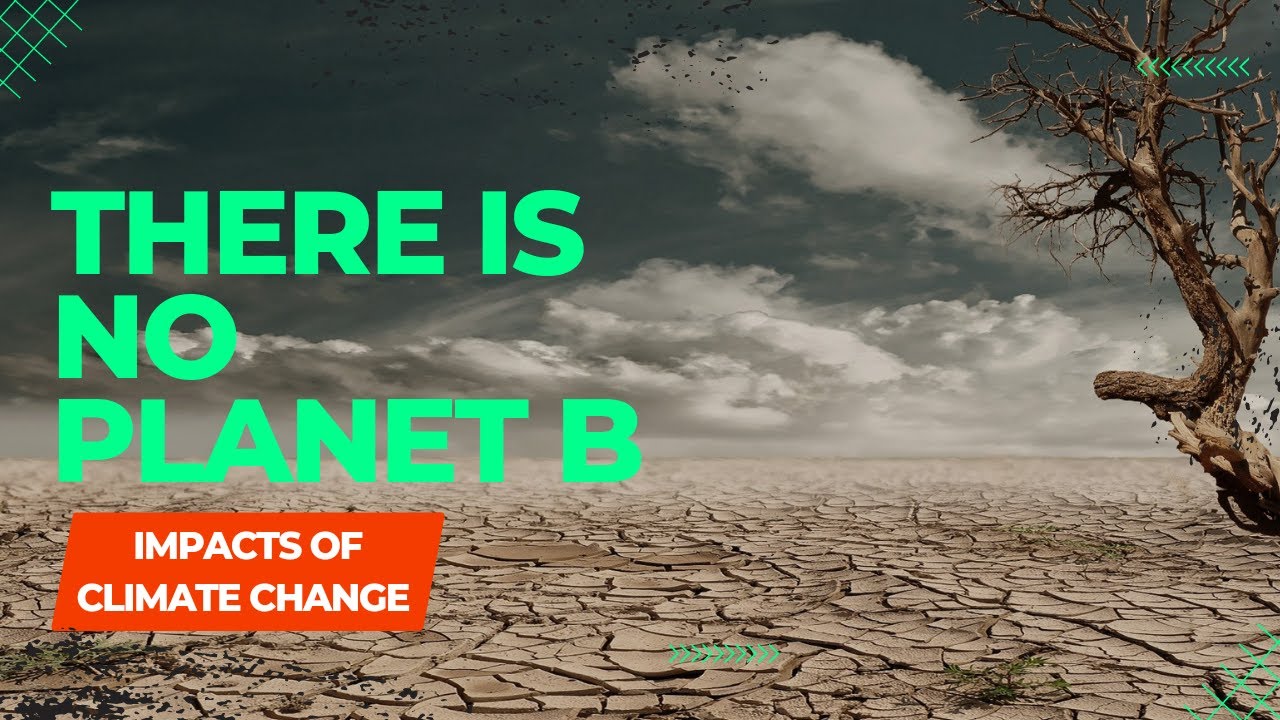 Climate Change | Impacts of Climate Change | A Short Film | Causes of ...