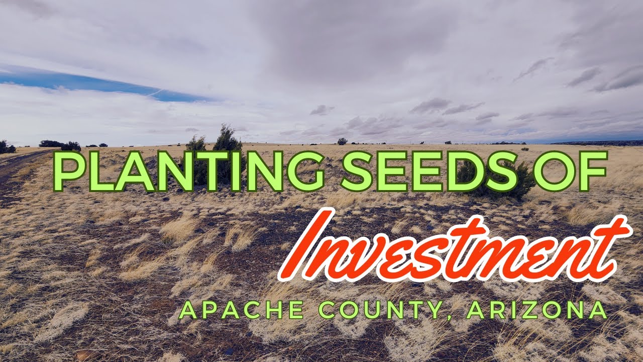 Your Dream Land Awaits: 1.04 Acres in Apache County, Arizona – A Wise ...