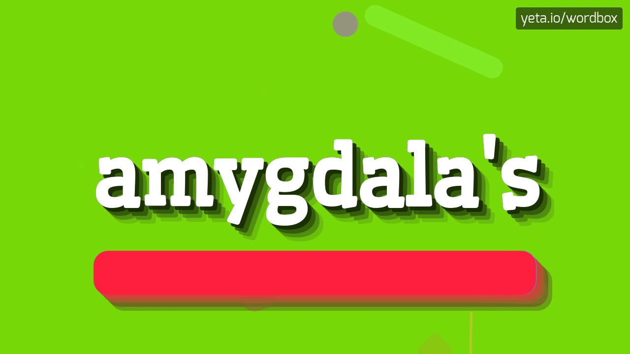 AMYGDALA'S - HOW TO PRONOUNCE IT!? - YouTube