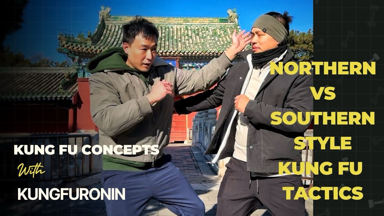 Northern/Southern kung fu tactics feat @EvosBasics (Wing chun, Choy mok ...