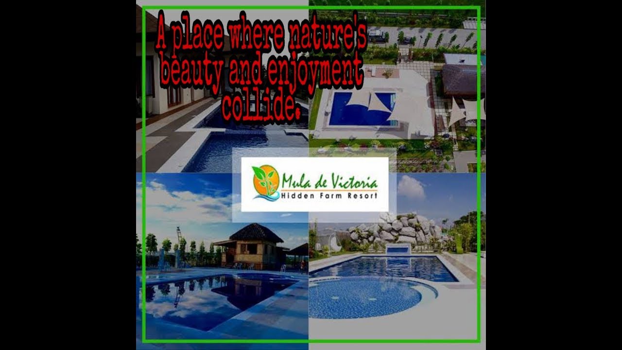 MULA DE VICTORIA FARM AND HIDDEN RESORT Sto. Tomas, Pampanga - YouTube