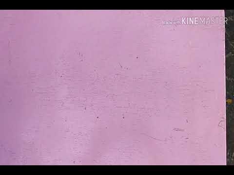 Parts of a leaf - card material- lamina-petiole - stipules- botany 4 y ...