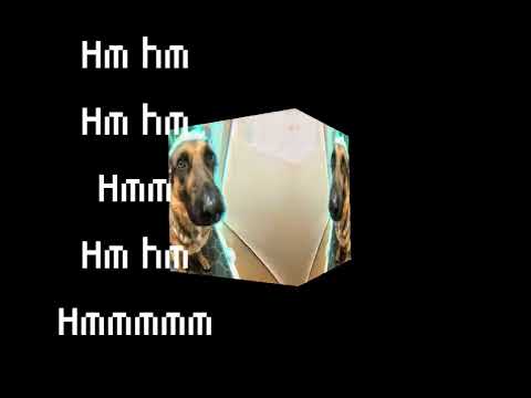 Whining hm hm hmm dog meme