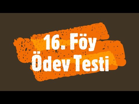 11. Sınıf Matematik EİS DAF 16. Föy ÖDEV TESTİ