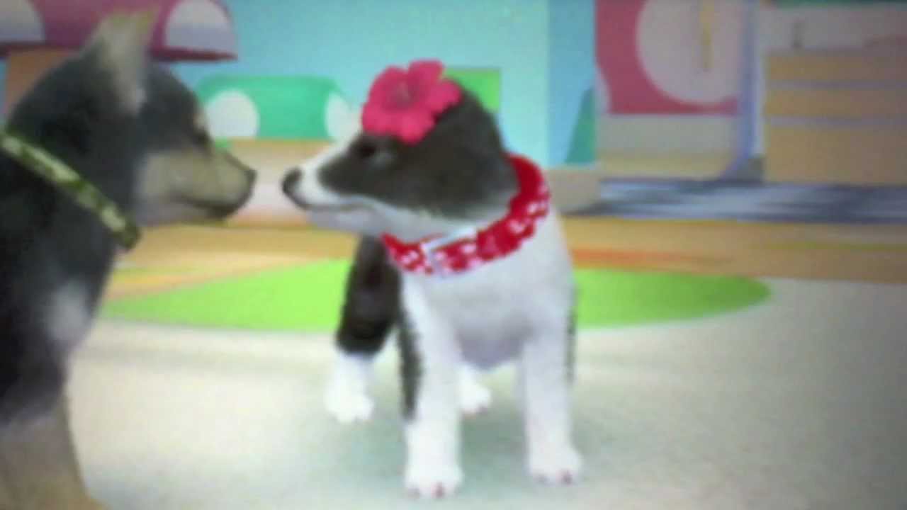 Nintendogs Couples ♡ - YouTube