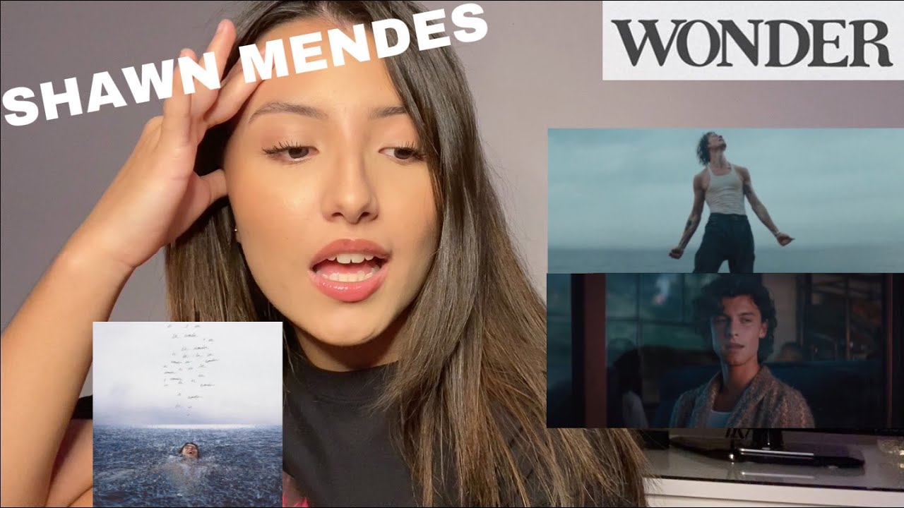 Shawn Mendes Wonder (Official Music Video) Reaction - YouTube