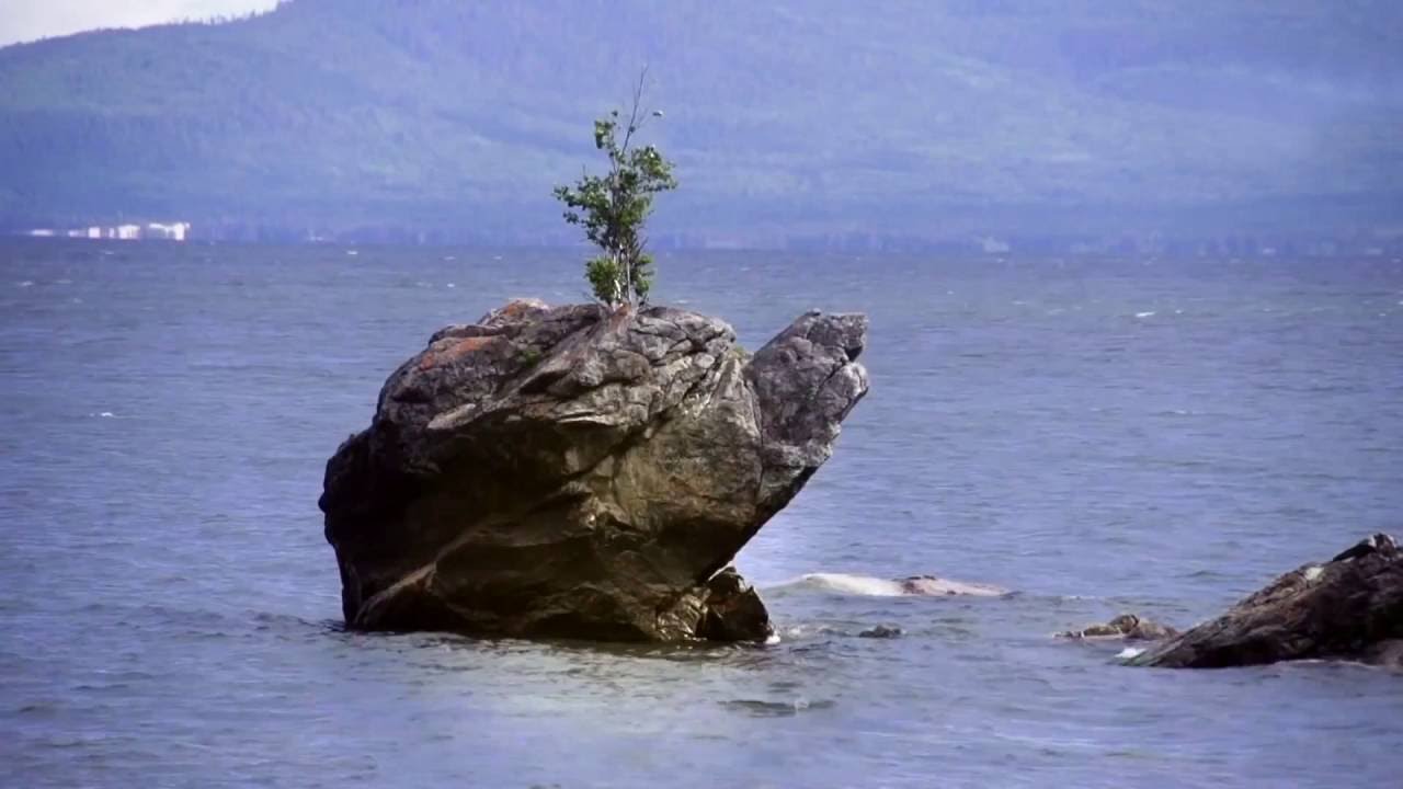 Dangina kinonii duu Duuchin Tserenchunt Mongol - YouTube