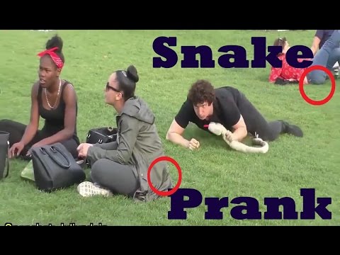 Ultimate Funny Snake Scare Pranks - Best Snake prank ever 2016 - Try Not To Laugh✔