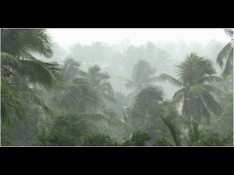 Mazha Edavapathi Mazha...മഴ.. - YouTube