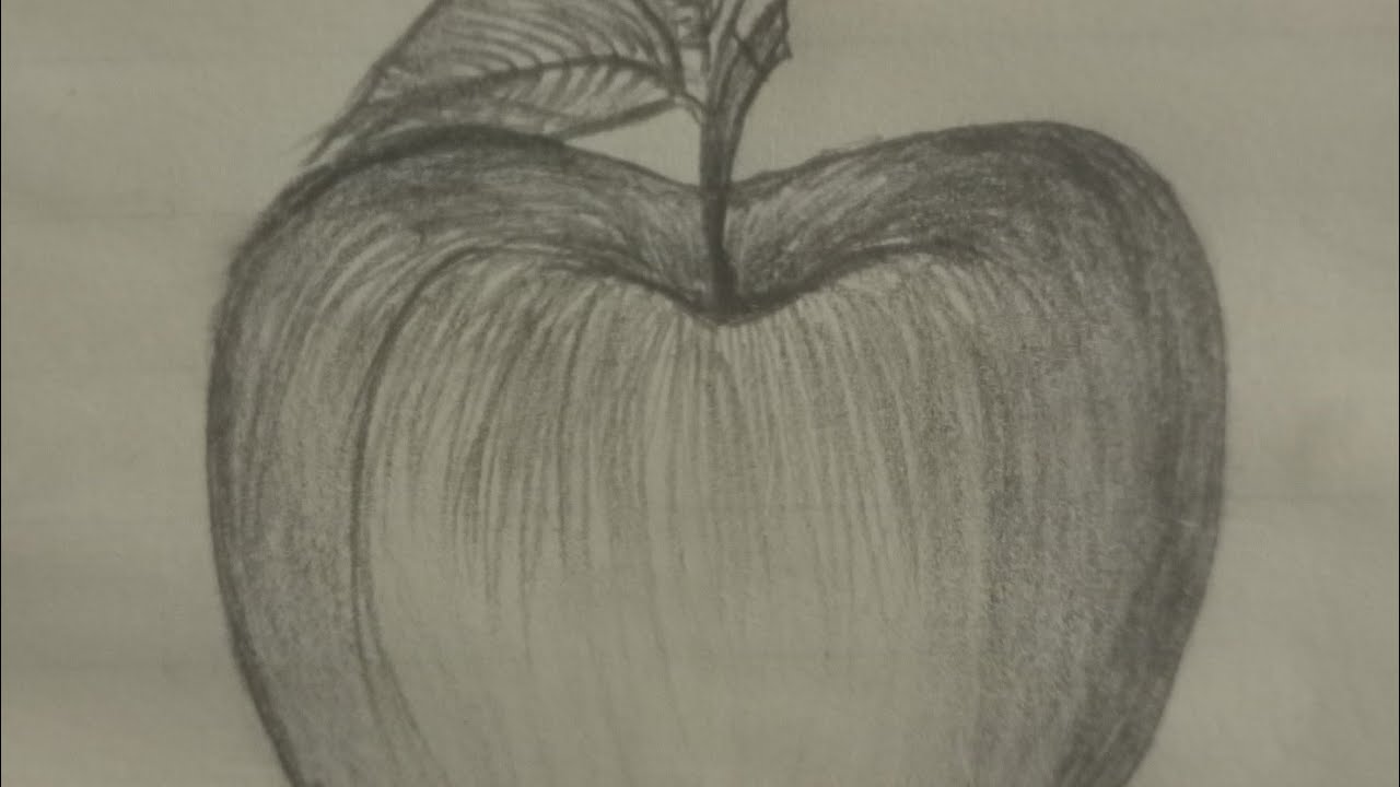 Easy step apple drawing tutorial || how to draw an apple 🍎|| JAVERIA ...