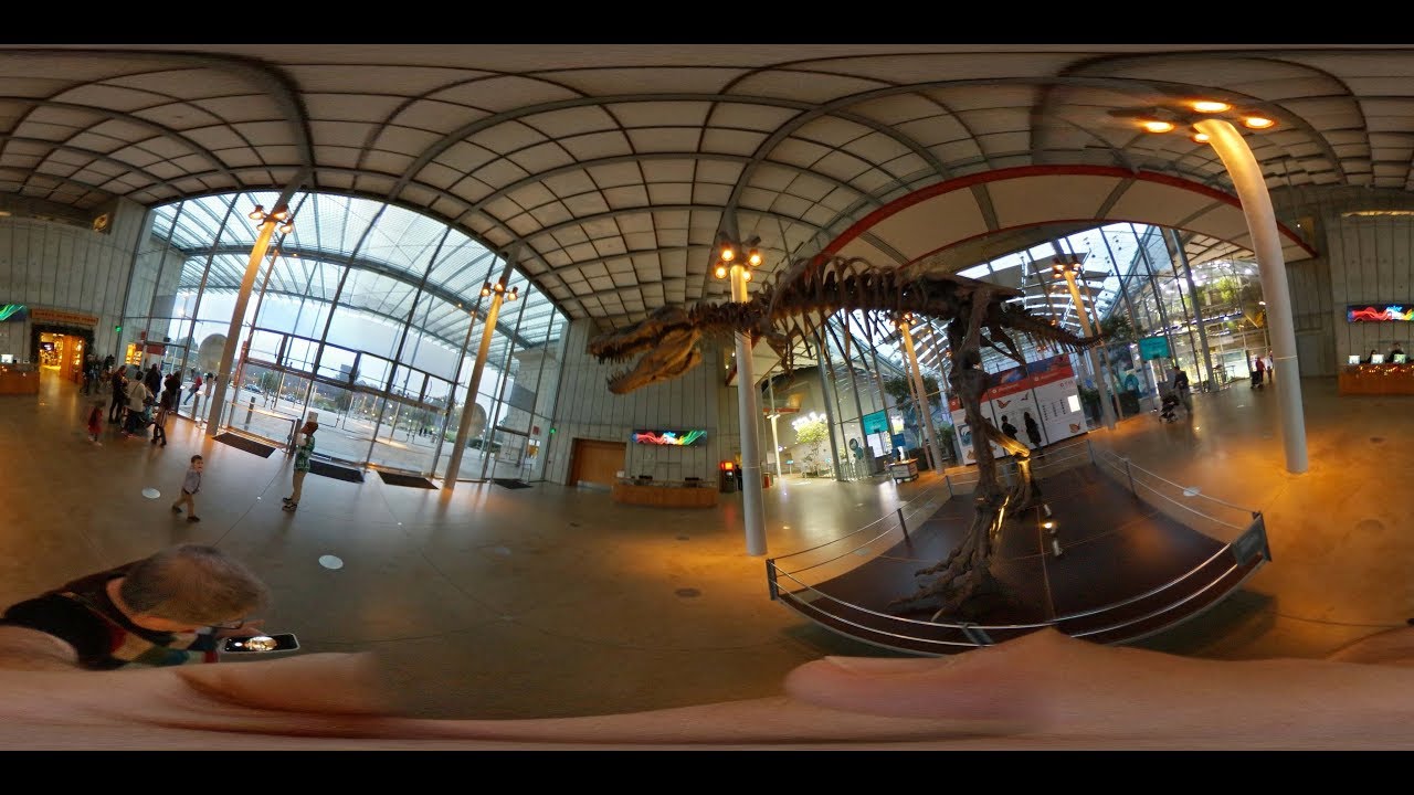 A 5 min 360 degree video tour in the California Academy Of Sciences ...
