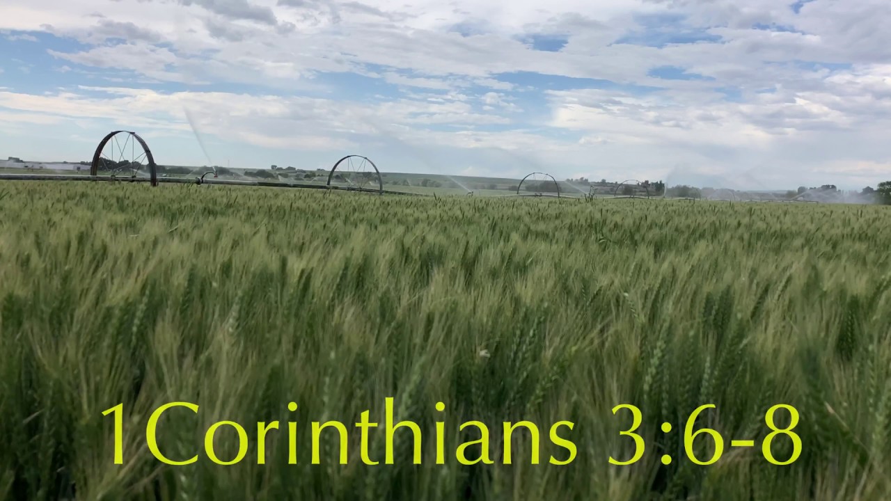 1 Corinthians 3_6-8 - YouTube