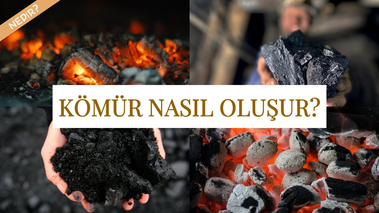 Kömür Nedir? | Kömür Nasıl Oluşur? - YouTube