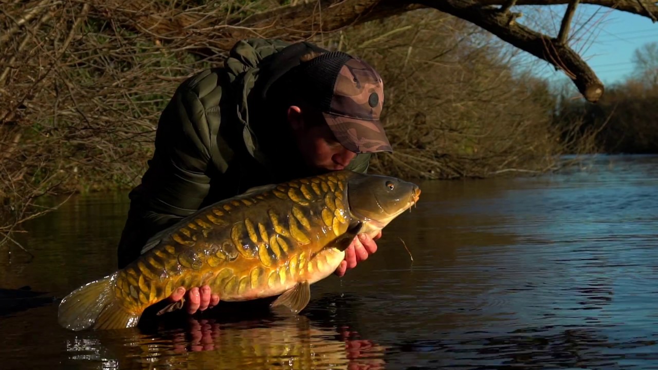DNA Winter Series 5 ***FARLOWS*** - coming this Friday! Carp fishing ...