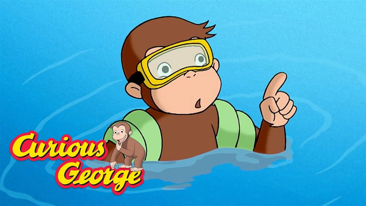 George Takes a Dive 🐵 Curious George 🐵 Kids Cartoon 🐵 Kids Movies - YouTube