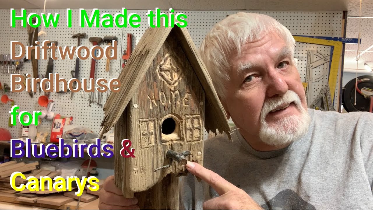 How I Made this Driftwood Birdhouse for Bluebirds and Canarys - YouTube