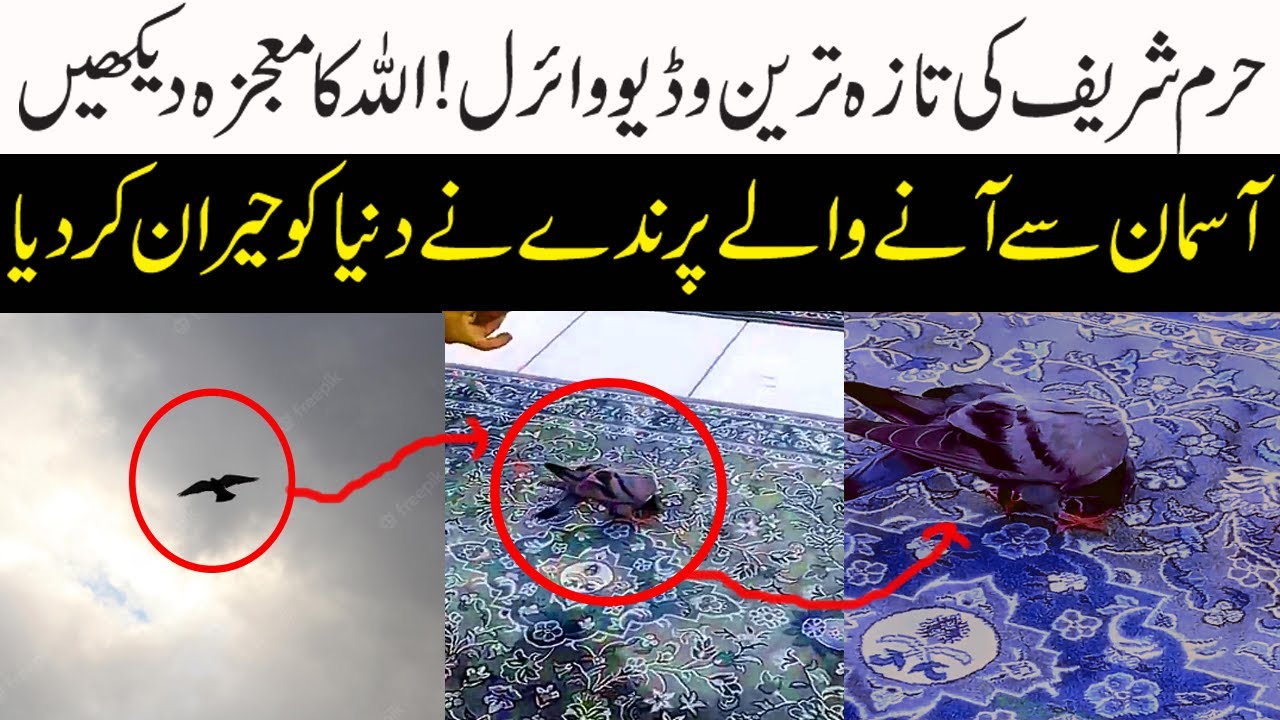Miracle of ALLAH in Khana Kaba // Angel revealed from sky offering ...