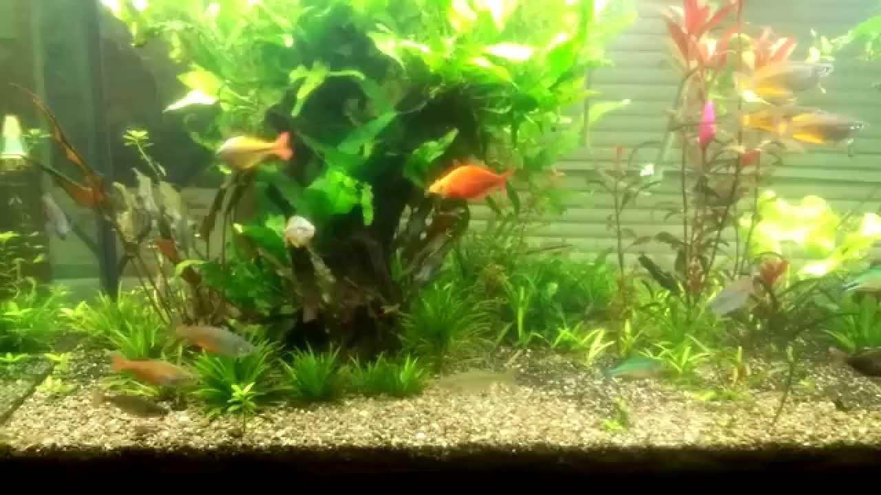 Millenium Rainbow - YouTube