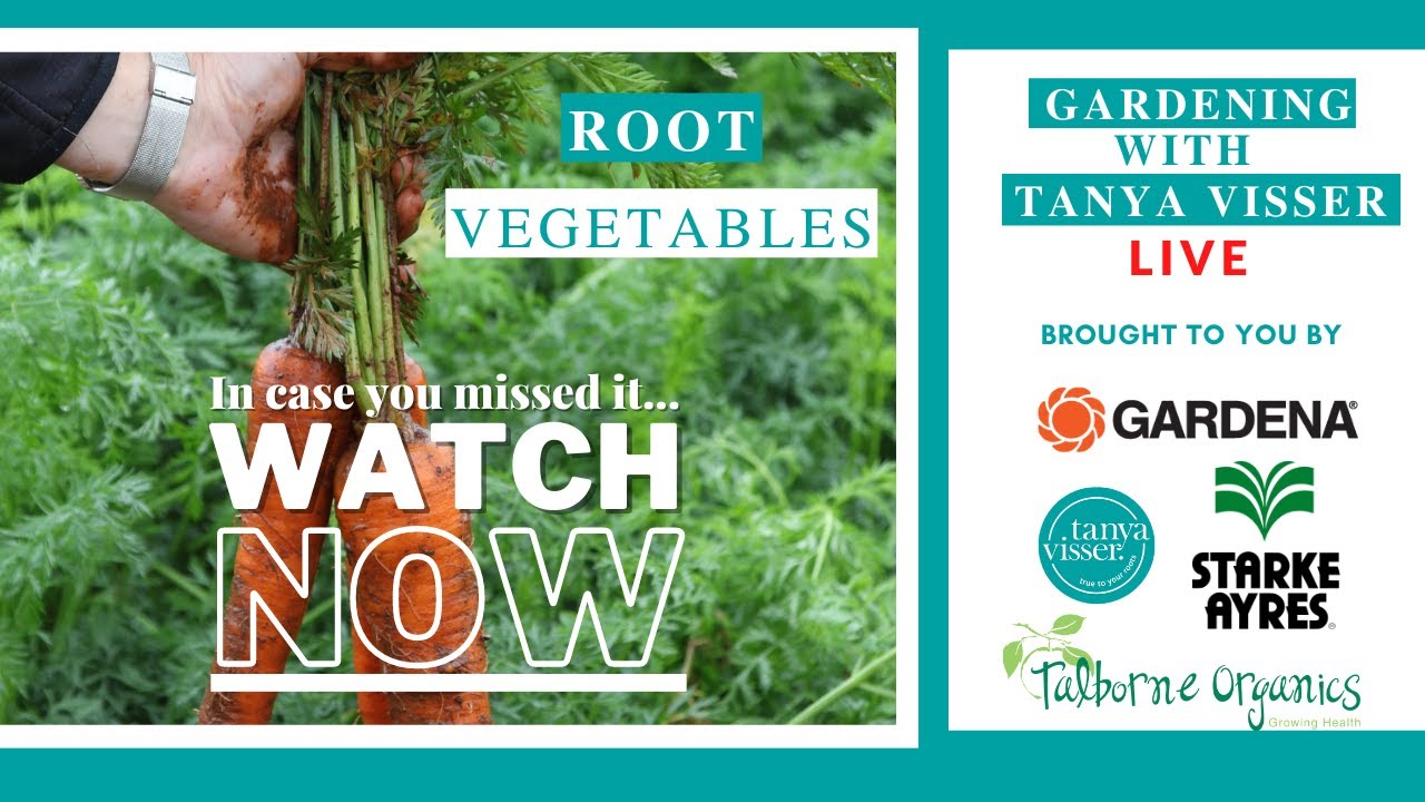 Root Vegetables Masterclass with Tanya Visser - YouTube