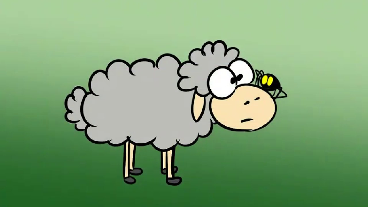 Spider and the Fly (Short Funny Cartoon Animation) - YouTube