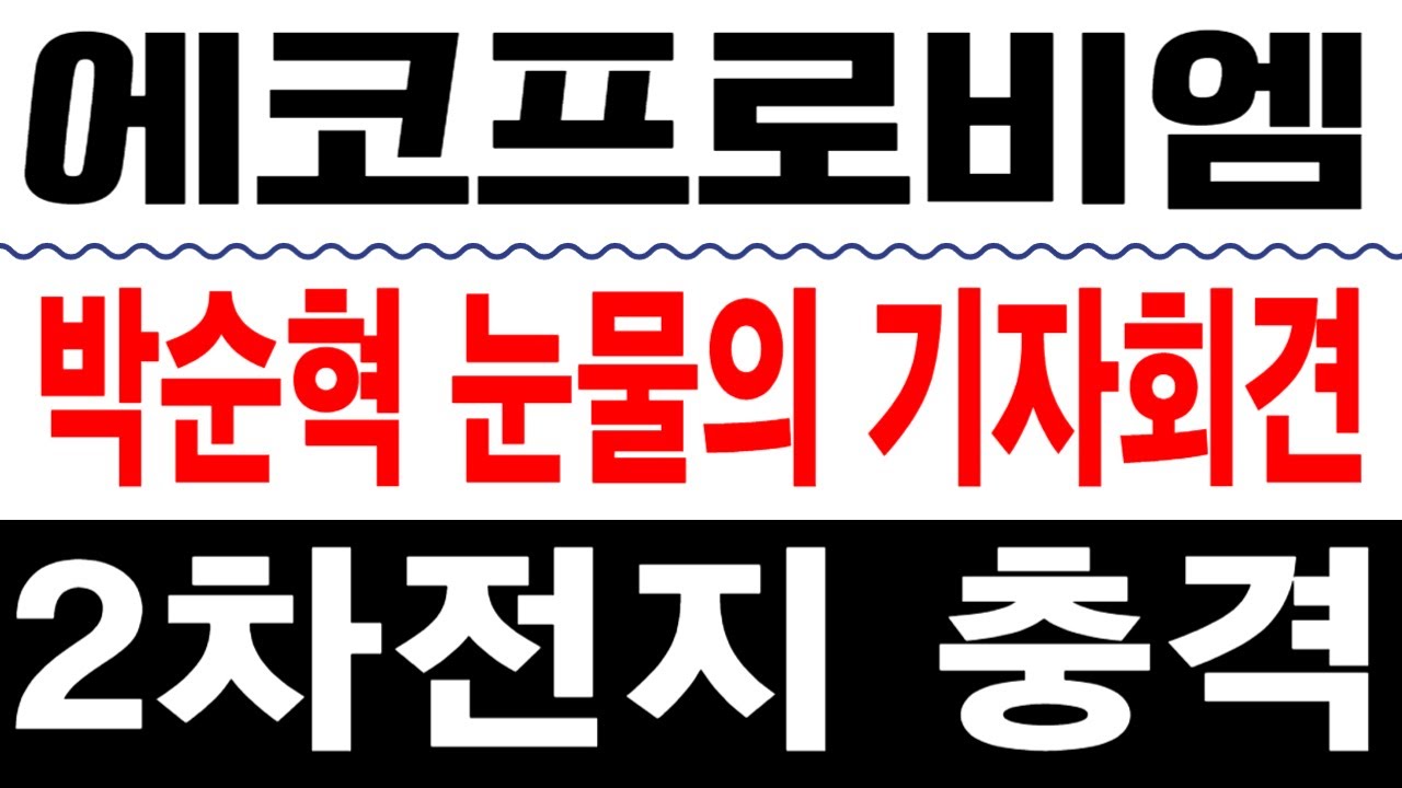 2차전지속보 박순혁의 눈물생각보다 사태가 심각하네요 포스코홀딩스금양포스코dx에코프로상한가에코프로비엠박순혁이사