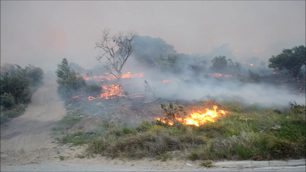 MASSIVE VELD FIRE LEAVES BUSH AND HOME DESTROYED IN THEESECOMBE/KAMMA ...