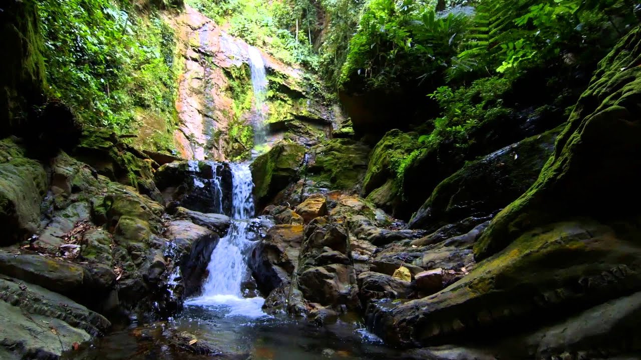 The Green Heart of Sabah - Imbak Canyon - YouTube