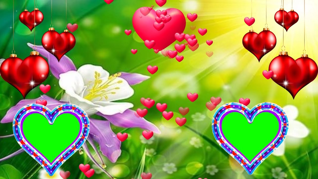 love green screen video effects | wedding green screen video frame ...