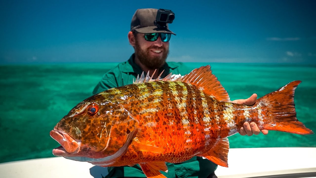 GIANT RED fish in the BLUE HOLE - YouTube