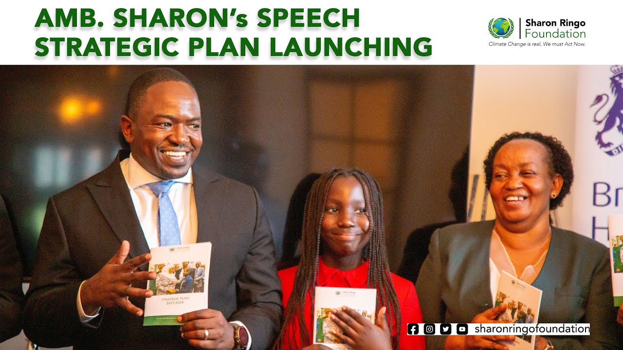 AMB.SHARON RINGO (SPEECH): SHARON RINGO FOUNDATION STRATEGIC PLAN ...