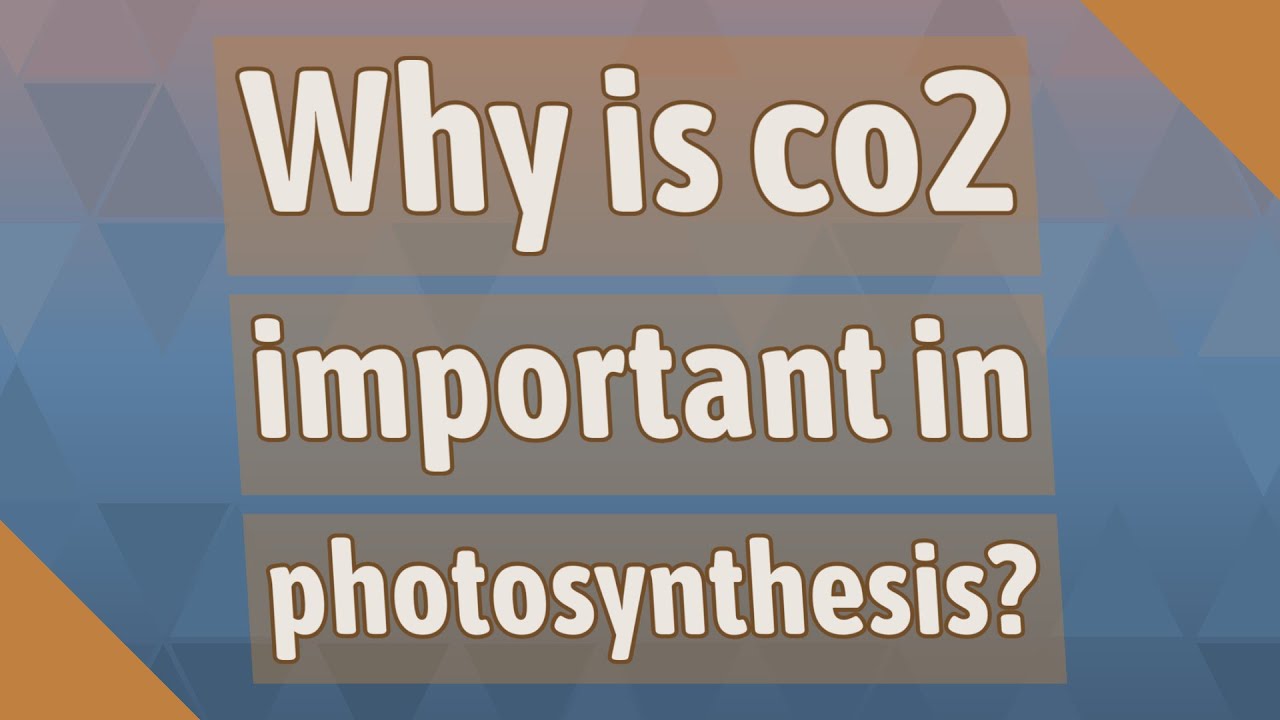 Why is co2 important in photosynthesis? - YouTube