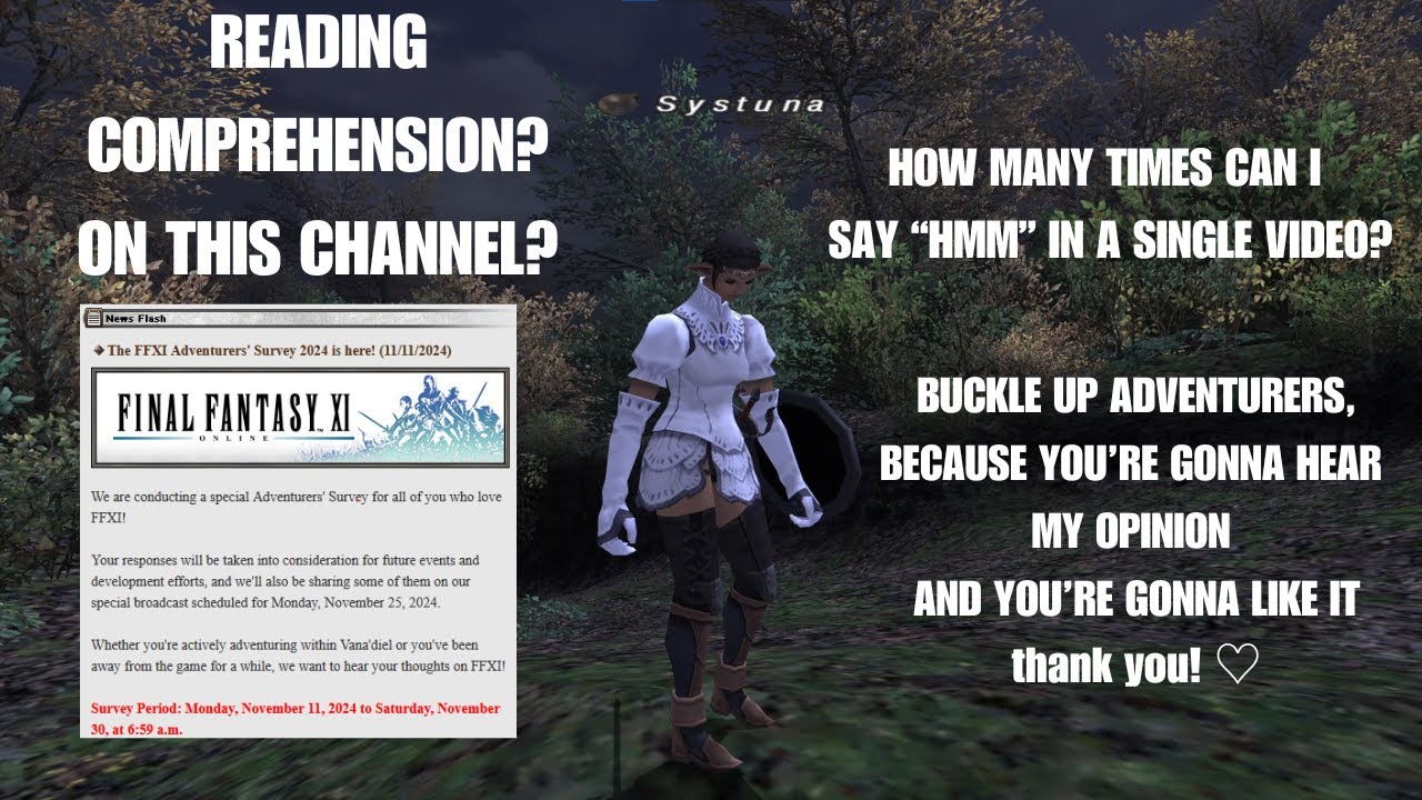 FFXI Adventurers' Survey 2024 with a new player! - YouTube
