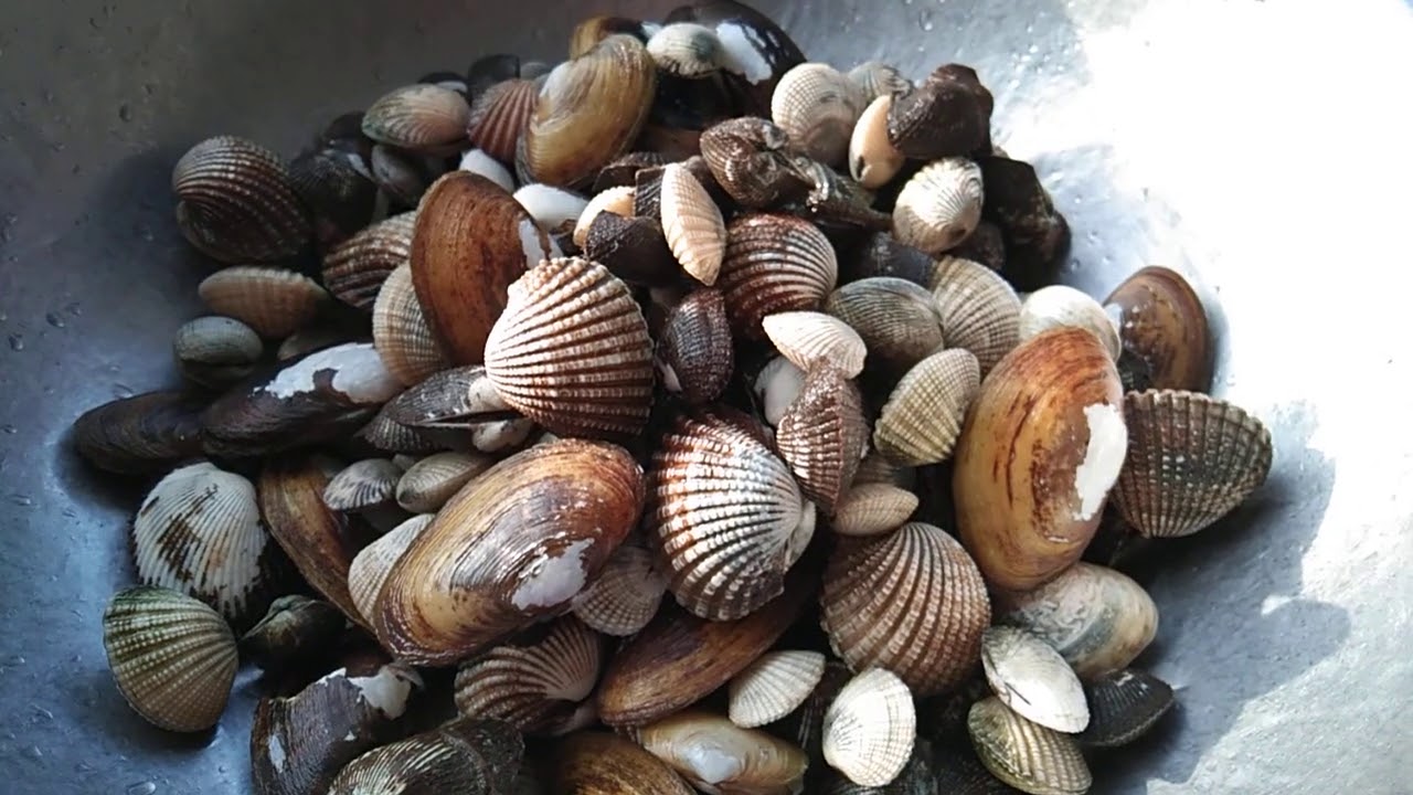 Lami ang kinason - YouTube