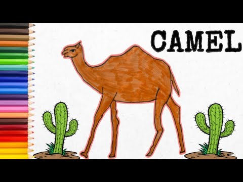 How to draw camel easy | Eid special Drawing | how to draw a camel ...