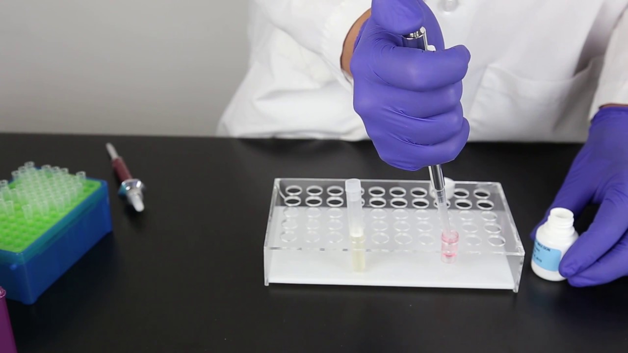 NEOGEN® Training | Reveal® Q+ MAX for DON Using Raptor® - YouTube