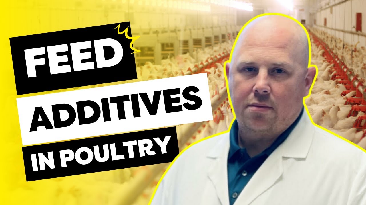 Dr. Tim Johnson: Bacteria Prevention Strategies - YouTube