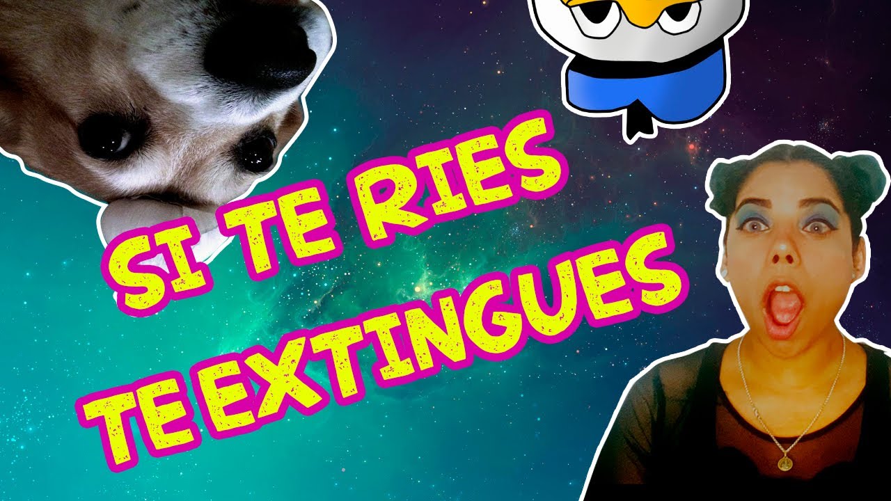 SI TE RIES TE EXTINGUES - Reaccionando a los mejores clips de risa ...