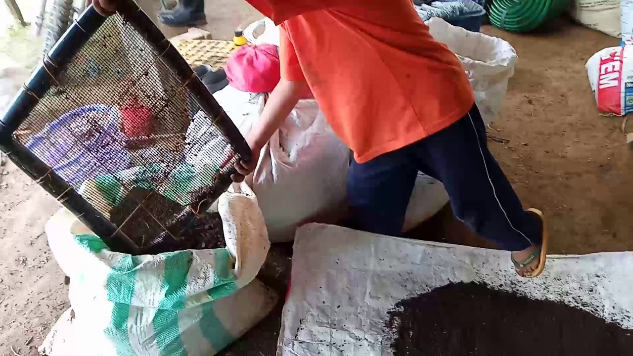 Diligent Boy | Monrae - YouTube