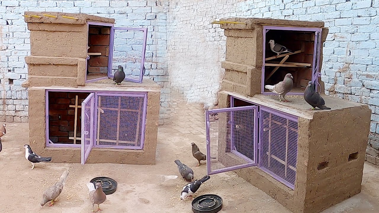 How to make a double story new design pigeon house - YouTube