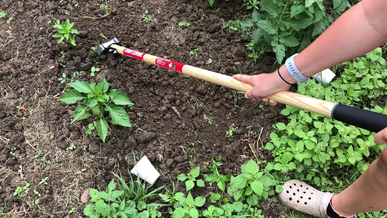 Craftsman weeding hoe store