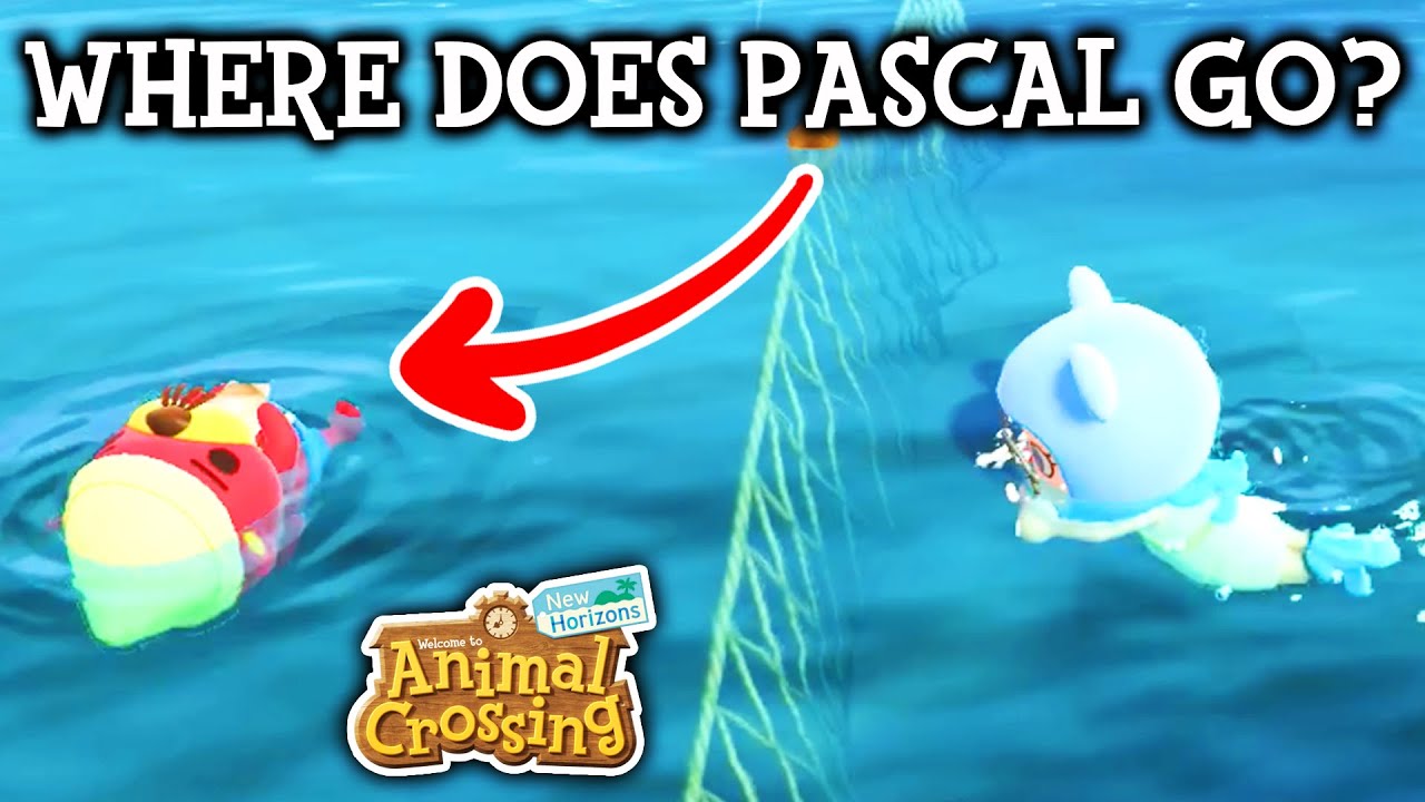 Following Pascal Past The Ocean Barrier | Animal Crossing New Horizons ...