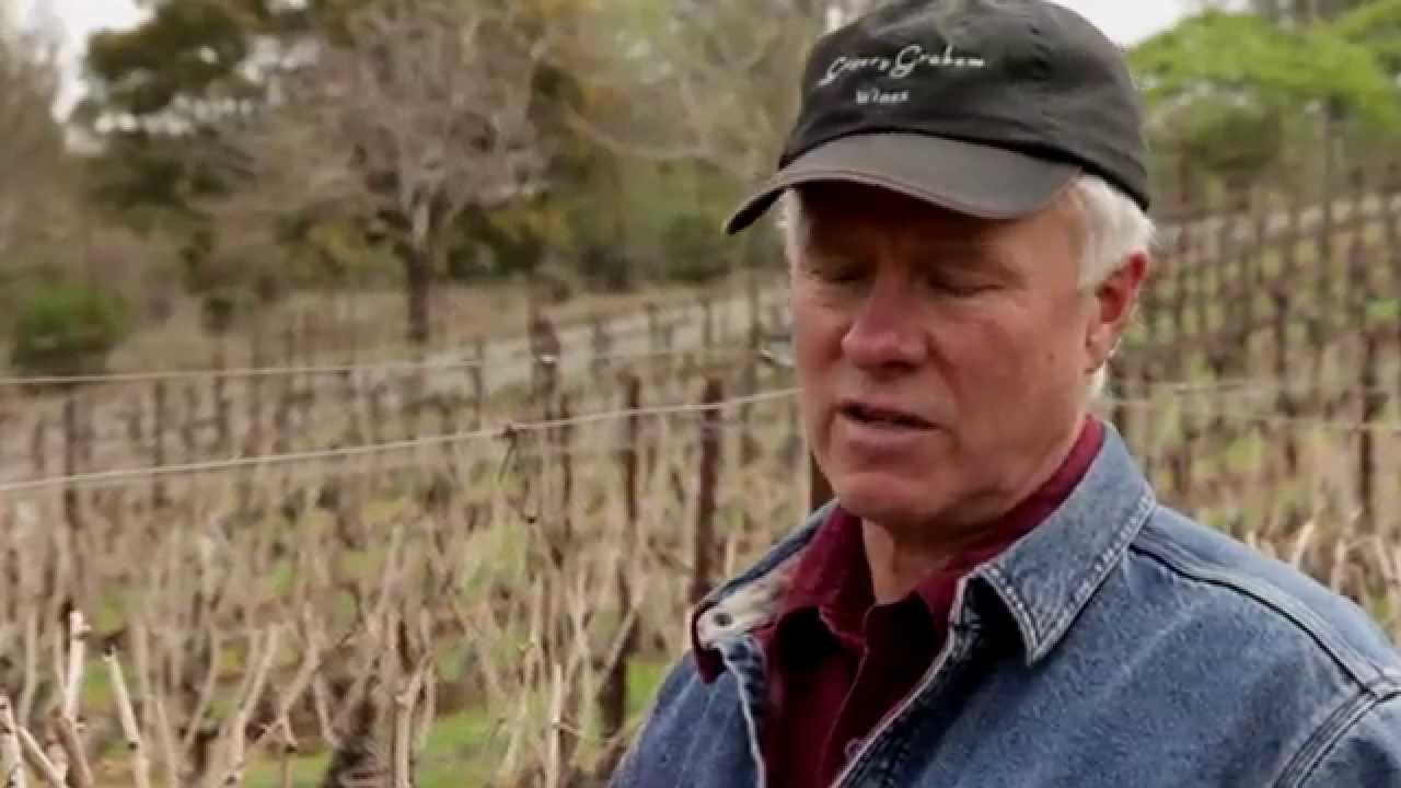 Gregory Graham's Vintage Year: Bud Break - YouTube