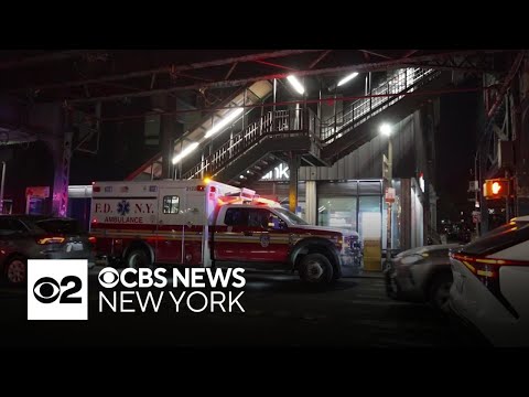 2 teen girls found dead in Brooklyn in suspected subway surfing incident, sources say
