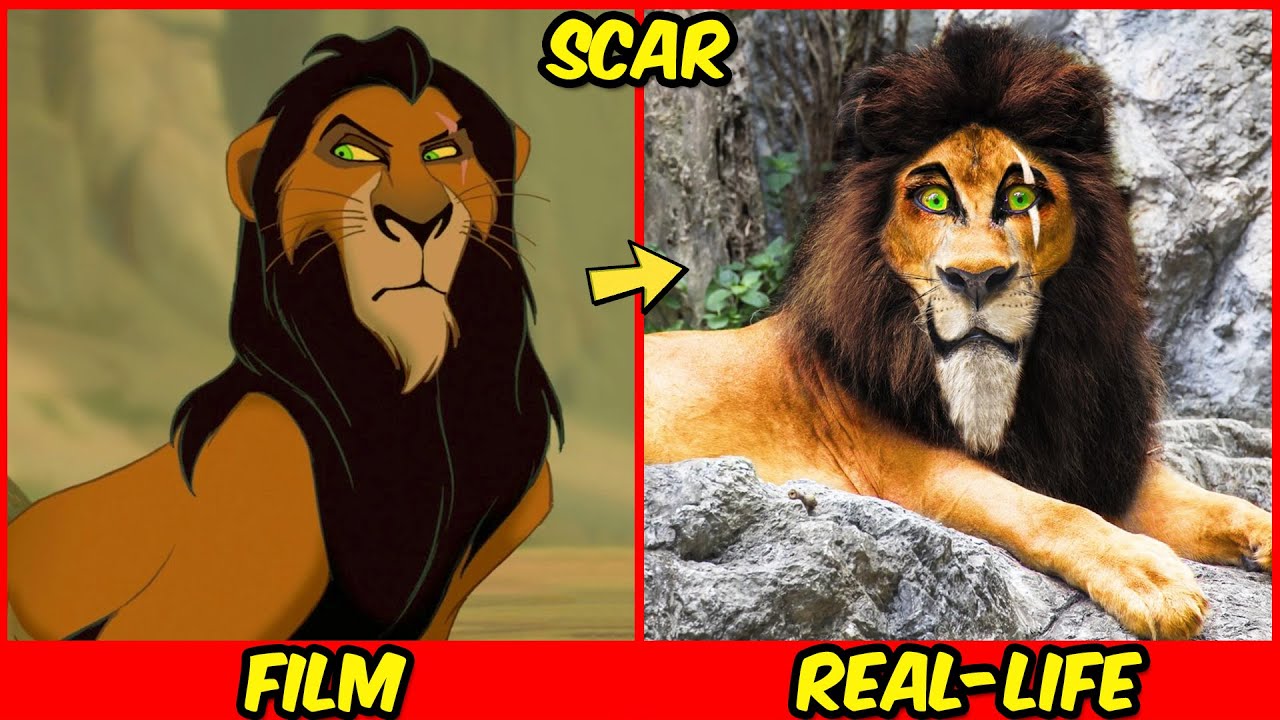 The Lion King 🦁 Real Life 👉 2024 - YouTube