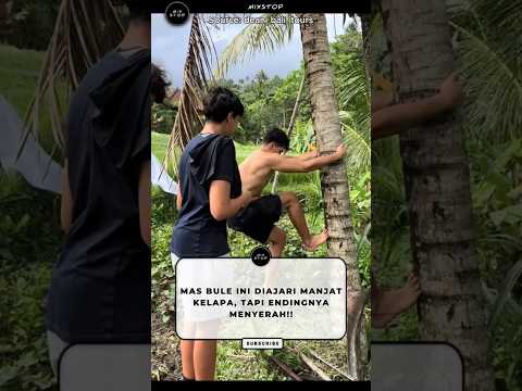 MAS BULE INI DIAJARI MANJAT KELAPA, TAPI ENDINGNYA MENYERAH!! #viral #indonesia #reaksi #tourism